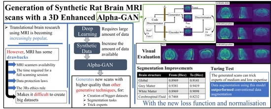 Applied Sciences | Free Full-Text | Generation of Synthetic Rat Brain ...