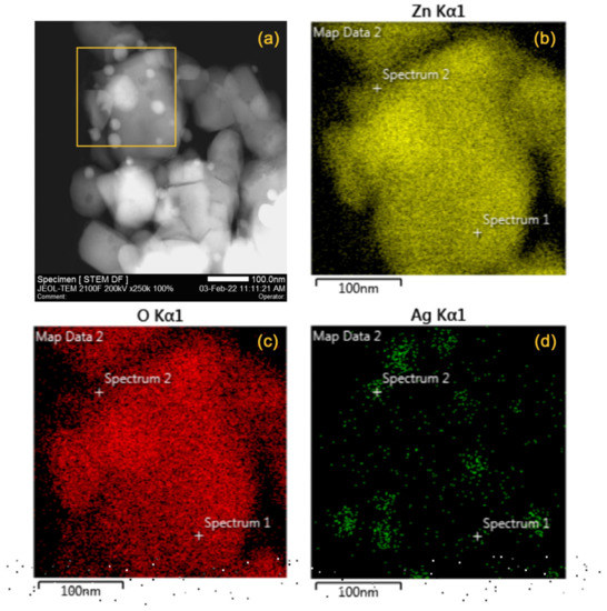 ZnO/Ag Nanocomposites with Enhanced Antimicrobial Activity