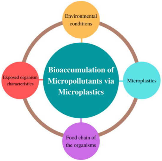 Potential Risks of Microplastic Fomites to Aquatic Organisms with ...
