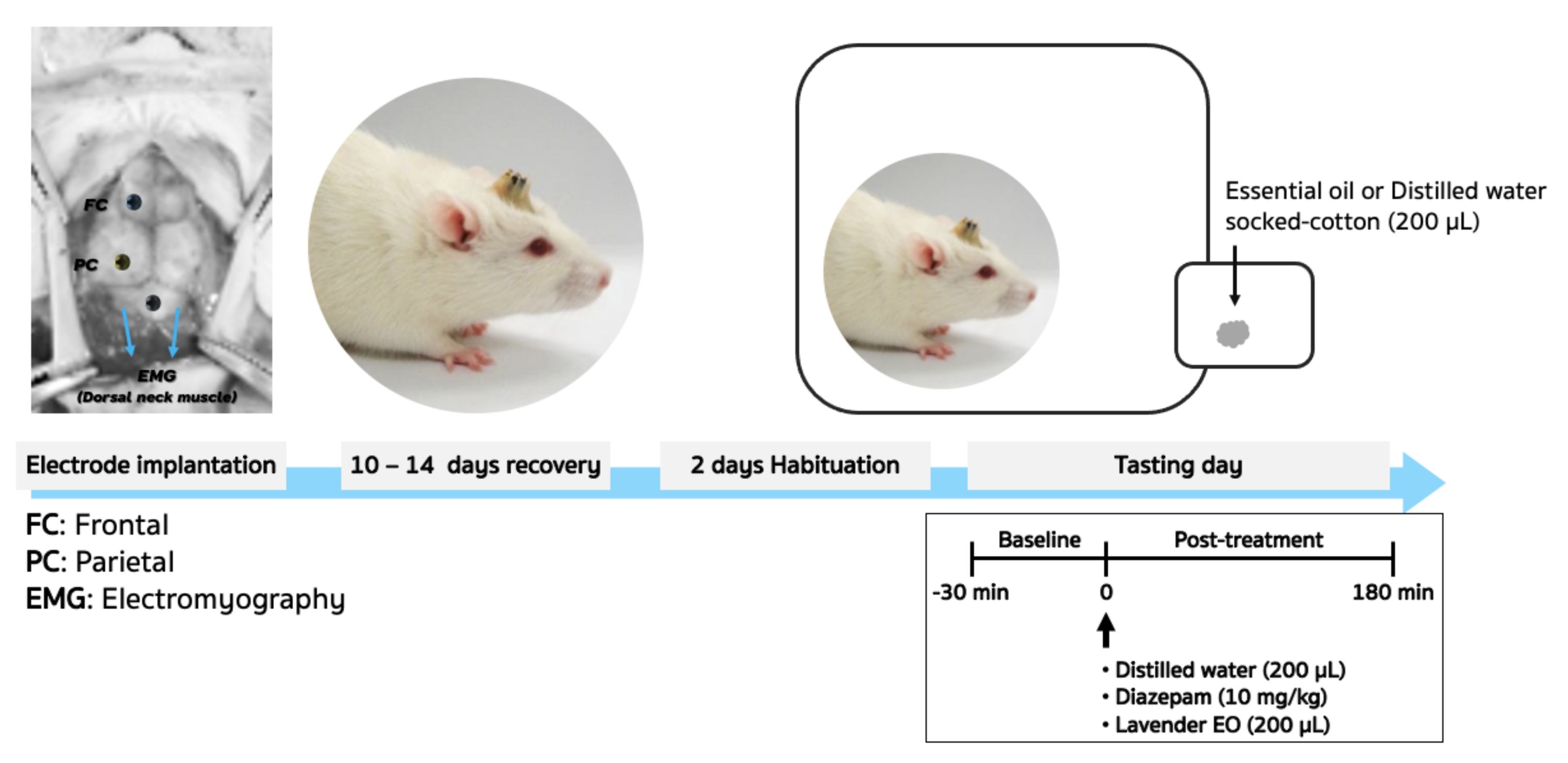 Employing a Long-Short-Term Memory Neural Network to Improve Automatic ...