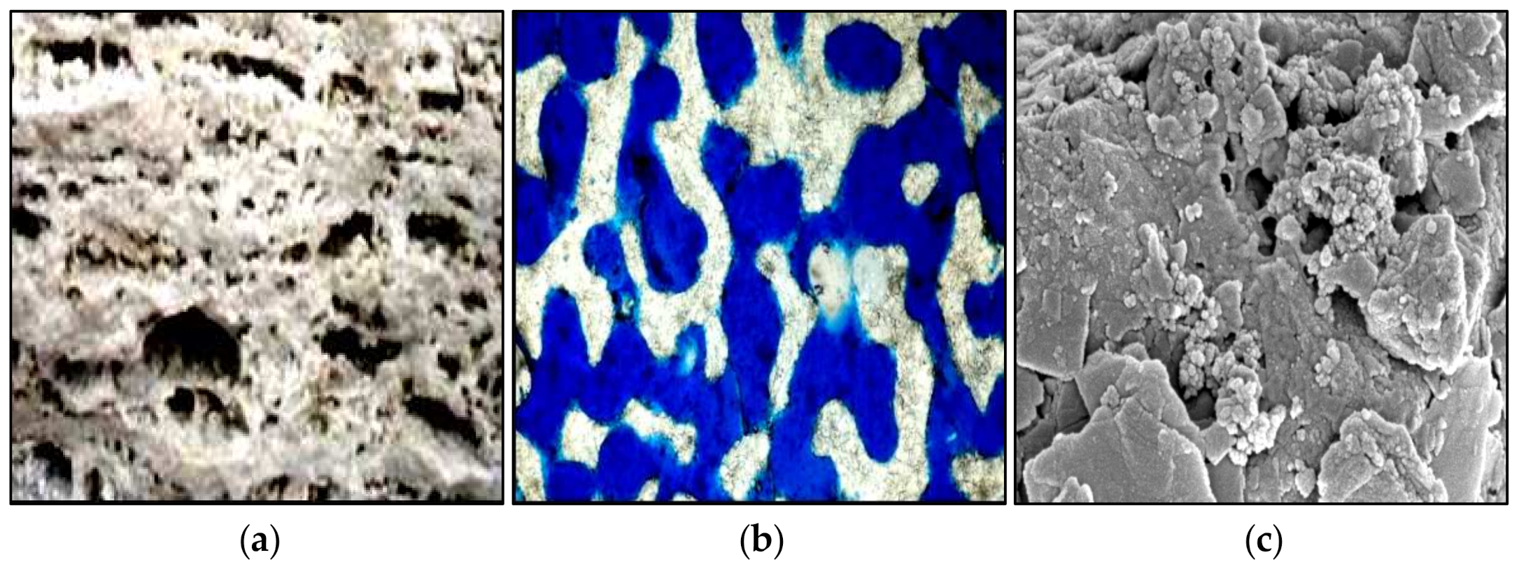 Applied Sciences | Free Full-Text | Study on Multi-Scale Coral Reef ...
