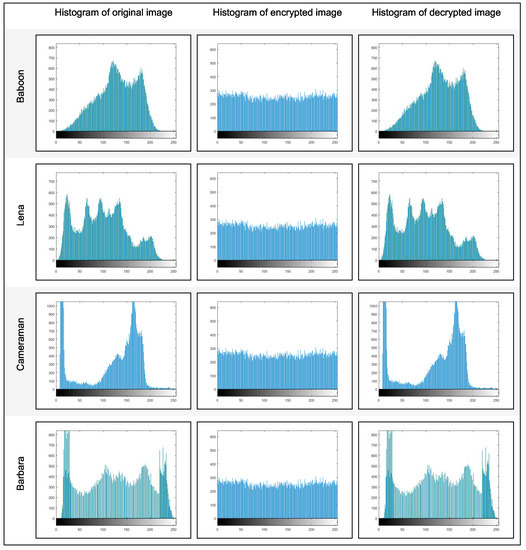 5D Gauss Map Perspective to Image Encryption with Transfer Learning Validation