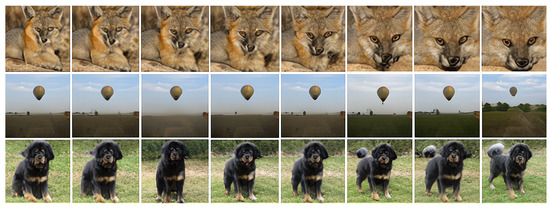 Applied Sciences Special Issue Computer Vision And Pattern Recognition Based On Deep Learning