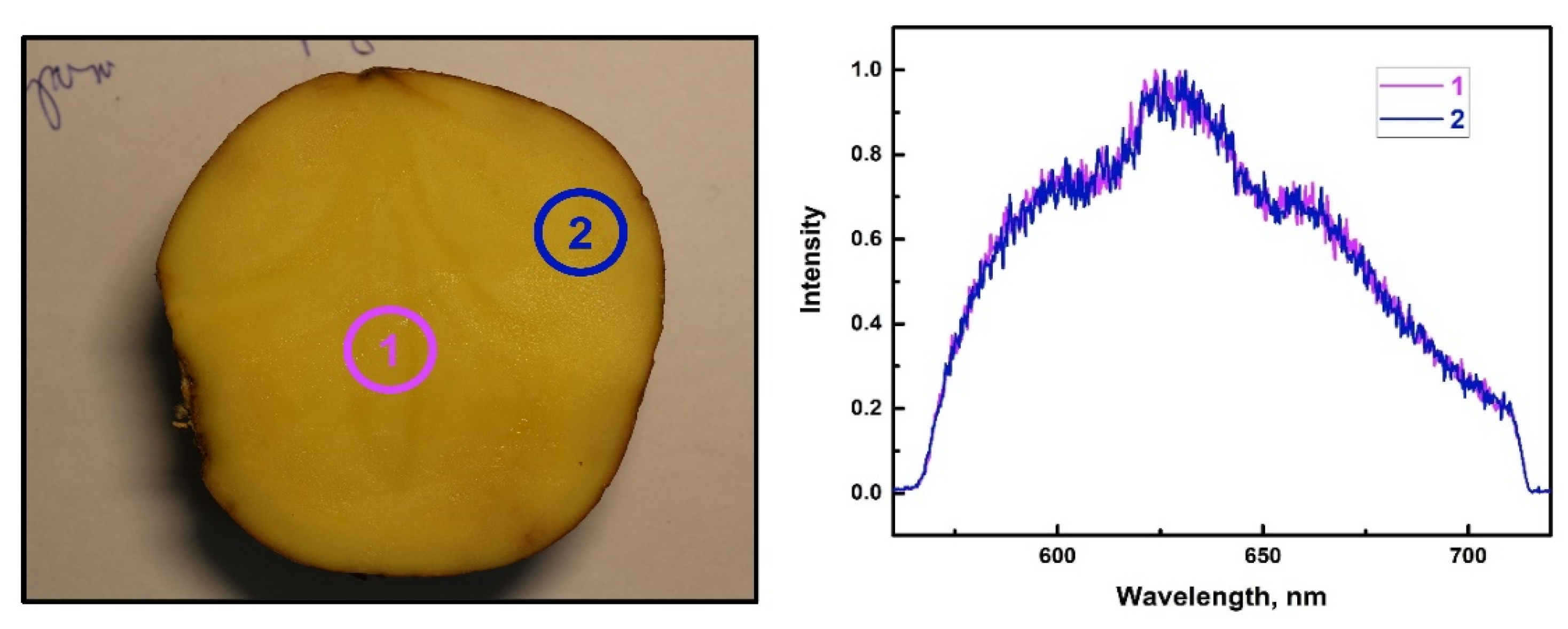 RAMAN and Fluorimetric Scattering Lidar Facilitated to Detect Damaged ...