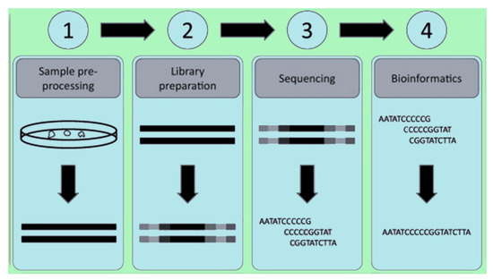 Different DNA Sequencing Using DNA Graphs: A Study