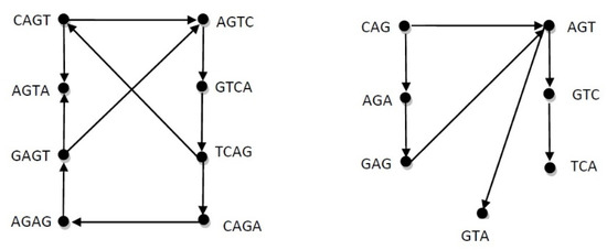 Different DNA Sequencing Using DNA Graphs: A Study