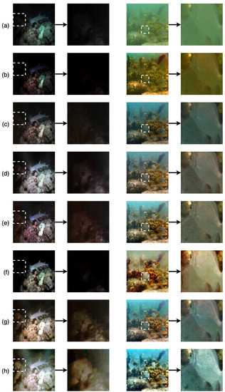 Medium Transmission Map Matters for Learning to Restore Real-World ...