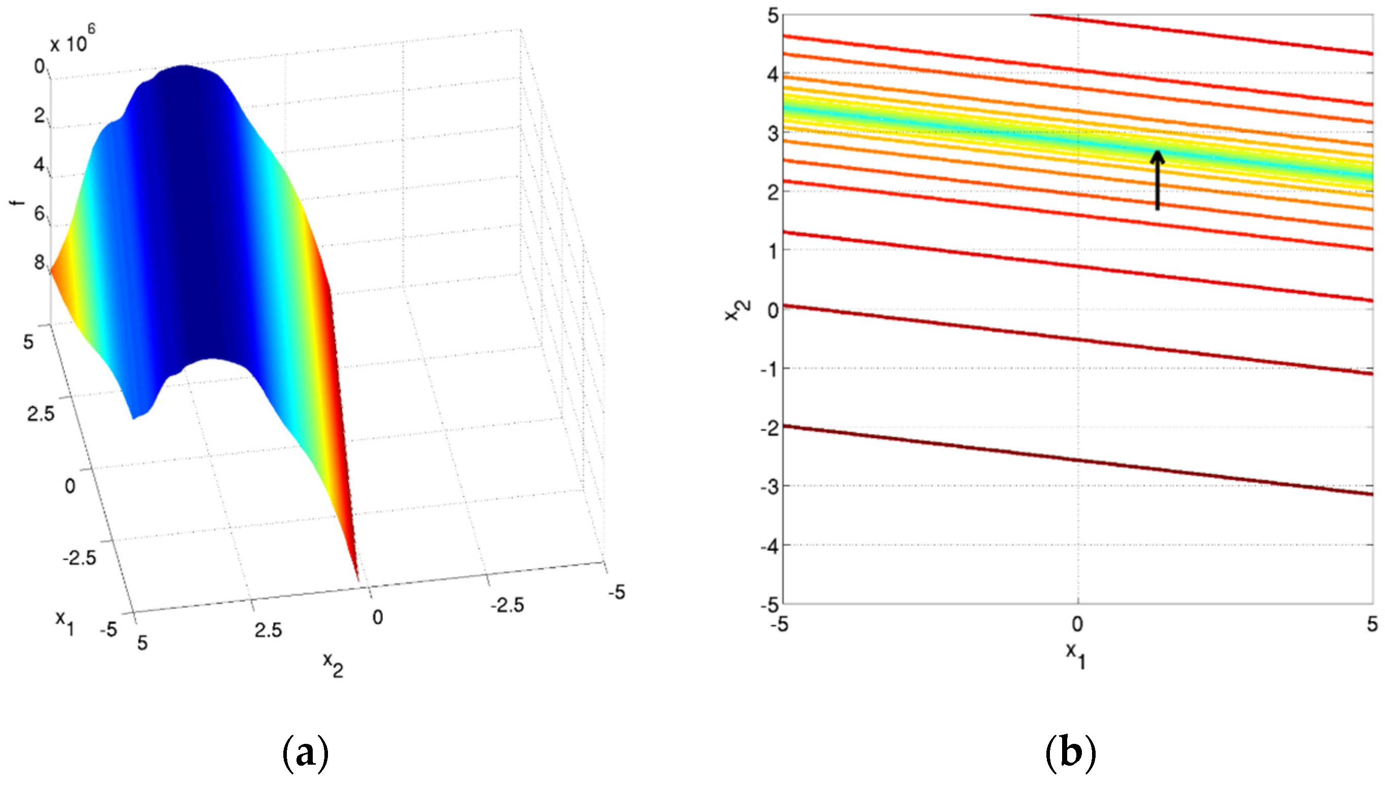 Population Symmetrization in Genetic Algorithms