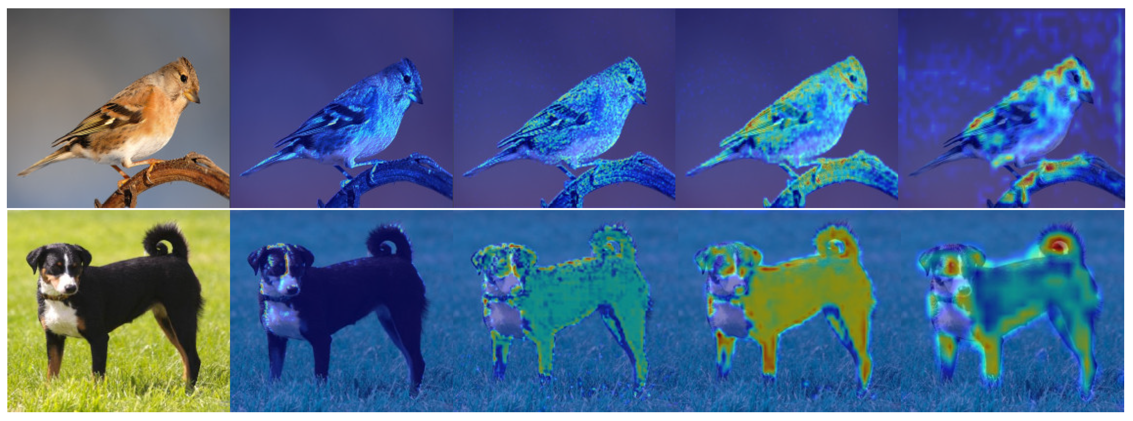 A Novel Hierarchical Adaptive Feature Fusion Method for Meta-Learning