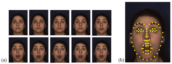 Hybrid Approach for Facial Expression Recognition Using Convolutional ...