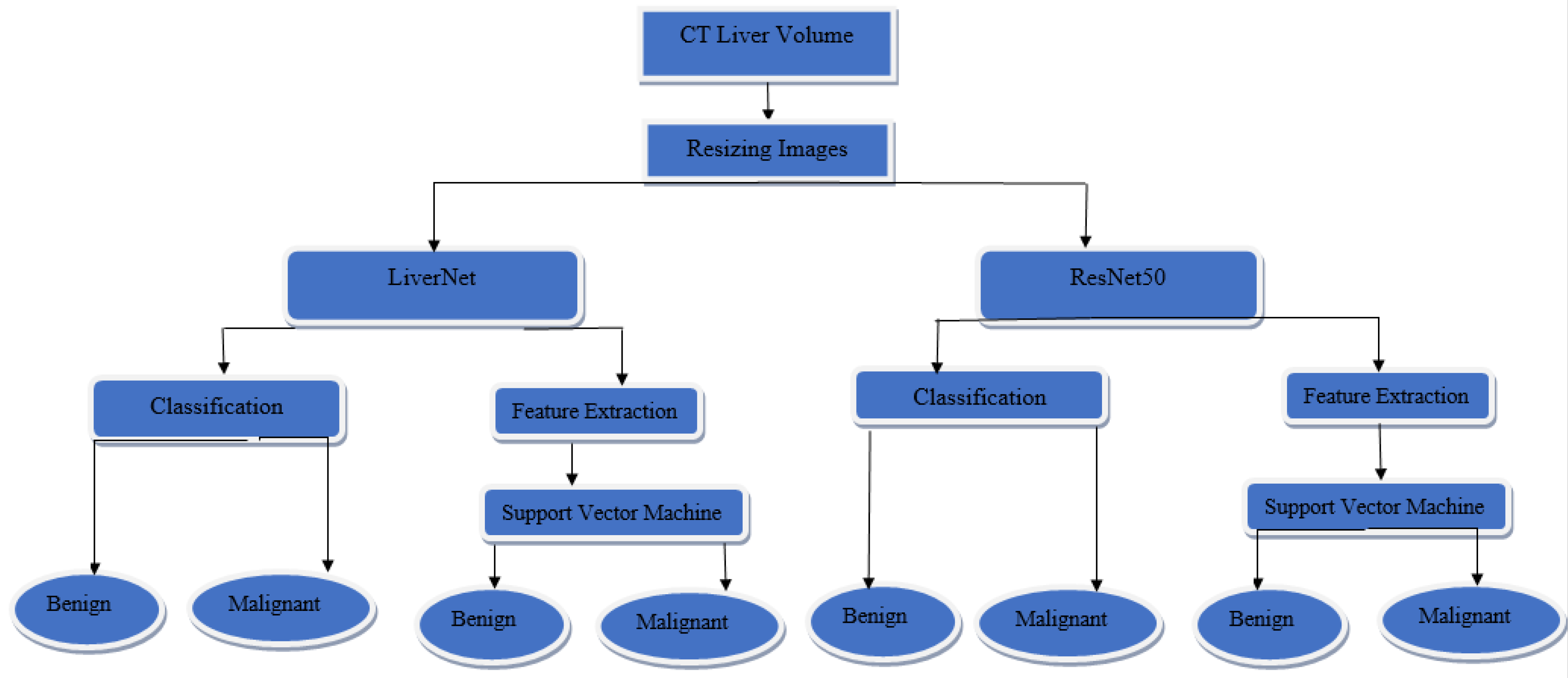 Applied Sciences | Free Full-Text | LiverNet: Diagnosis of Liver Tumors ...