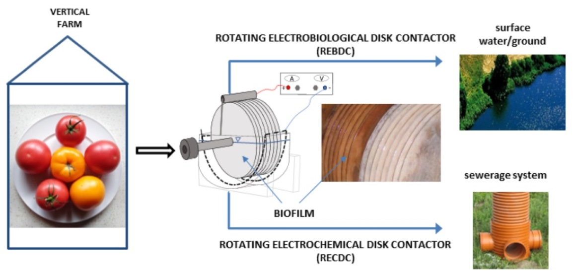 Applied Sciences | Free Full-Text | Technological Parameters of ...