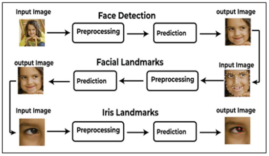 A Robust Framework for Real-Time Iris Landmarks Detection Using Deep ...