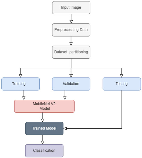 Applied Sciences | Free Full-Text | Skin Cancer Disease Detection Using ... Applied Sciences | Free Full-Text | Skin Cancer Disease Detection Using ...