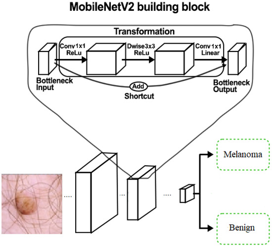 Skin Cancer Disease Detection Using Transfer Learning Technique