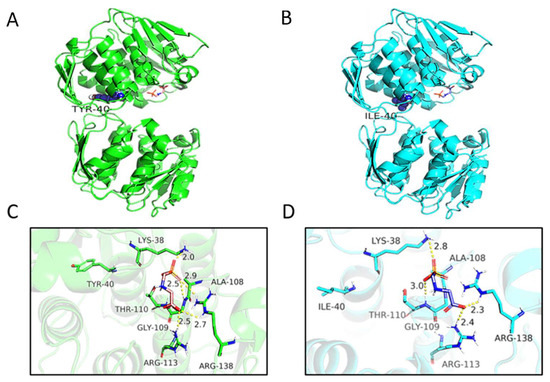 A Highly Glyphosate-Resistant EPSPS Mutant from Laboratory Evolution