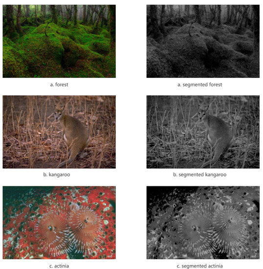 An Adaptive Bi-Mutation-Based Differential Evolution Algorithm for Multi-Threshold Image ...