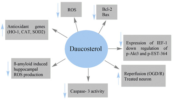 Natural Sources, Pharmacological Properties, and Health Benefits of ...