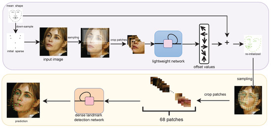 Learning Robust Shape-Indexed Features for Facial Landmark Detection