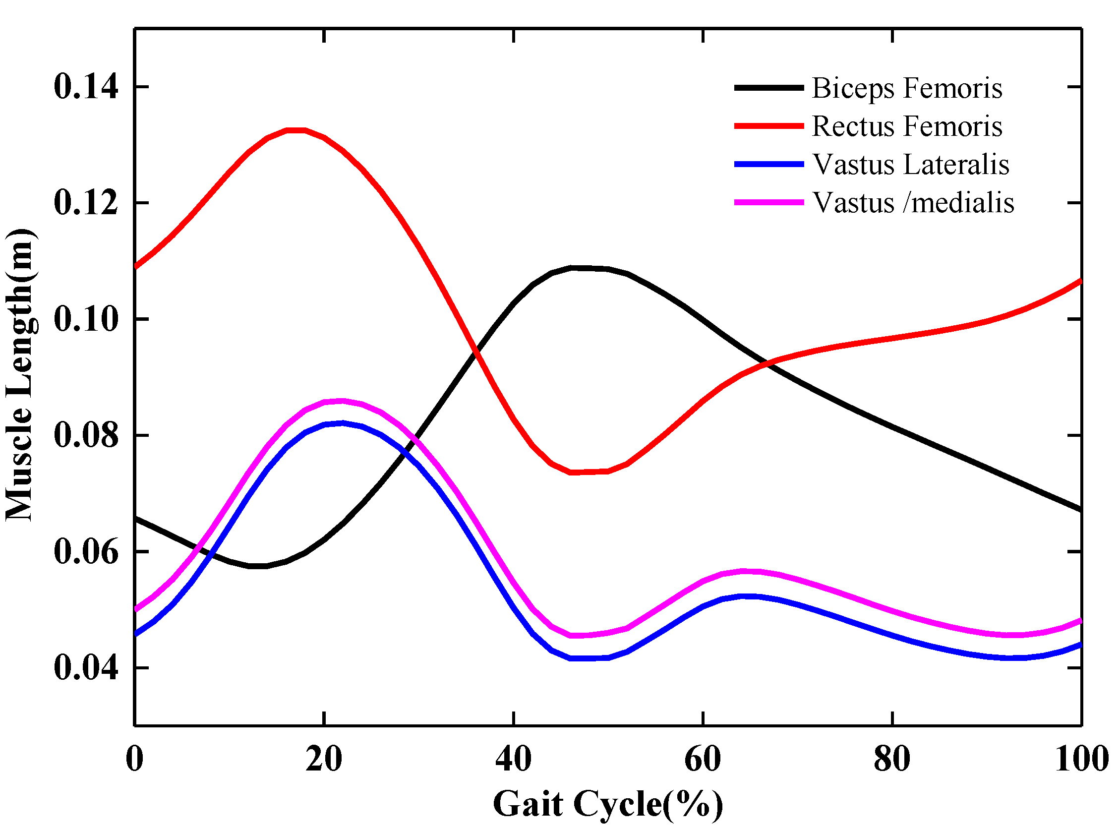 Classification and Regression of Muscle Neural Signals on Human Lower ...