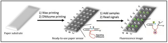 Technique Evolutions for Microorganism Detection in Complex Samples: A ...