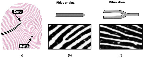 Robust Fingerprint Minutiae Extraction and Matching Based on Improved SIFT Features