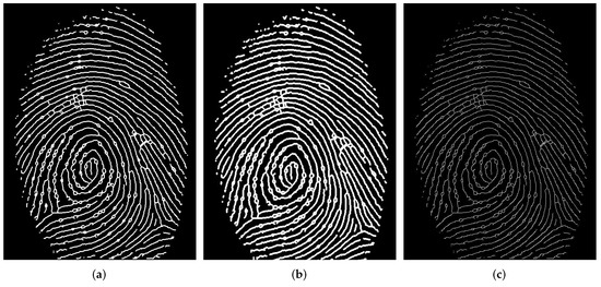Robust Fingerprint Minutiae Extraction and Matching Based on Improved ...