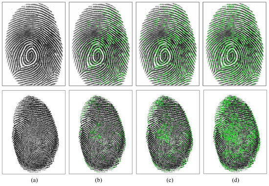 Robust Fingerprint Minutiae Extraction and Matching Based on Improved ...
