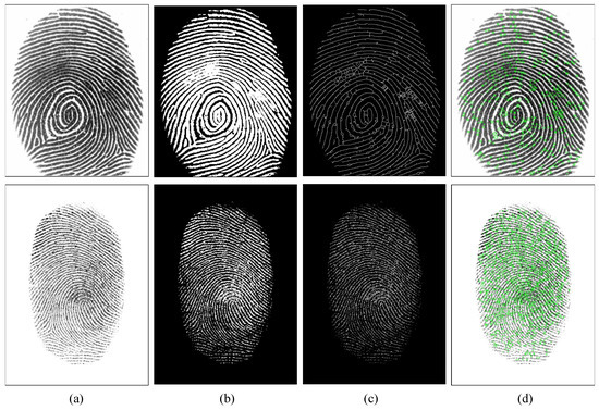 Robust Fingerprint Minutiae Extraction and Matching Based on Improved SIFT Features