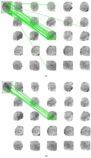 Robust Fingerprint Minutiae Extraction and Matching Based on Improved SIFT Features