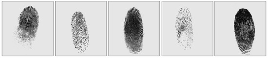Robust Fingerprint Minutiae Extraction and Matching Based on Improved ...