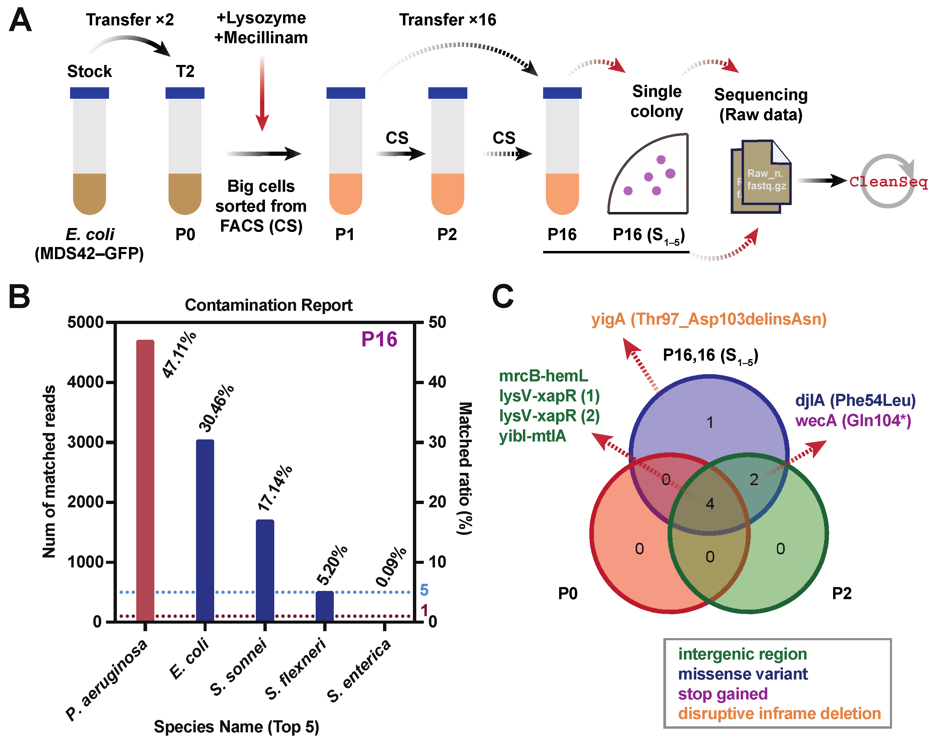 CleanSeq: A Pipeline for Contamination Detection, Cleanup, and Mutation ...
