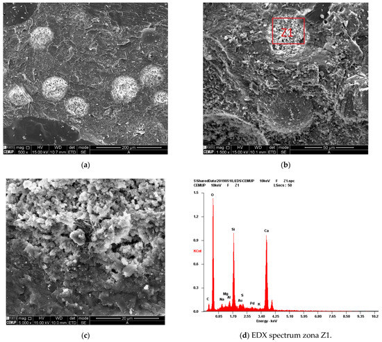 Susceptibility to Expansive Reactions of a Greener UHPC: Micro to Macro ...