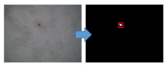 An Automatic Foreign Matter Detection and Sorting System for PVC Powder