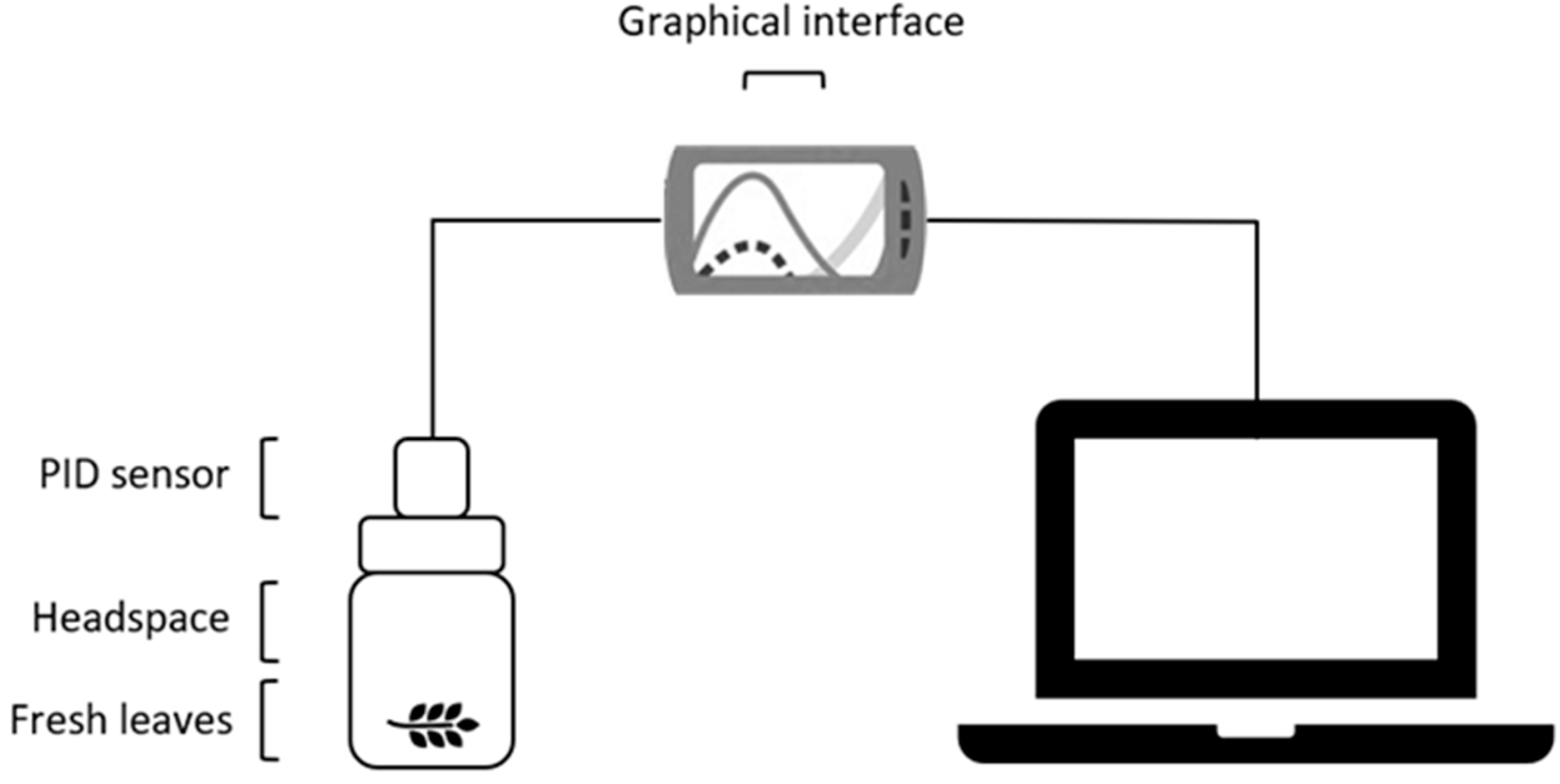 A Conventional VOC-PID Sensor for a Rapid Discrimination among Aromatic Plant Varieties ...