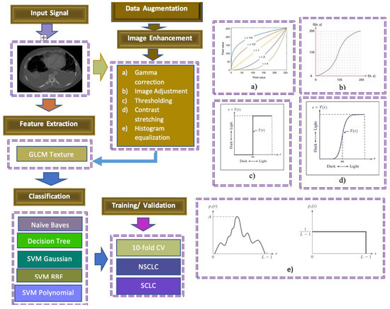 Lung Cancer Prediction Using Robust Machine Learning and Image ...