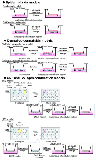 Fabricating a Novel Three-Dimensional Skin Model Using Silica Nonwoven ...
