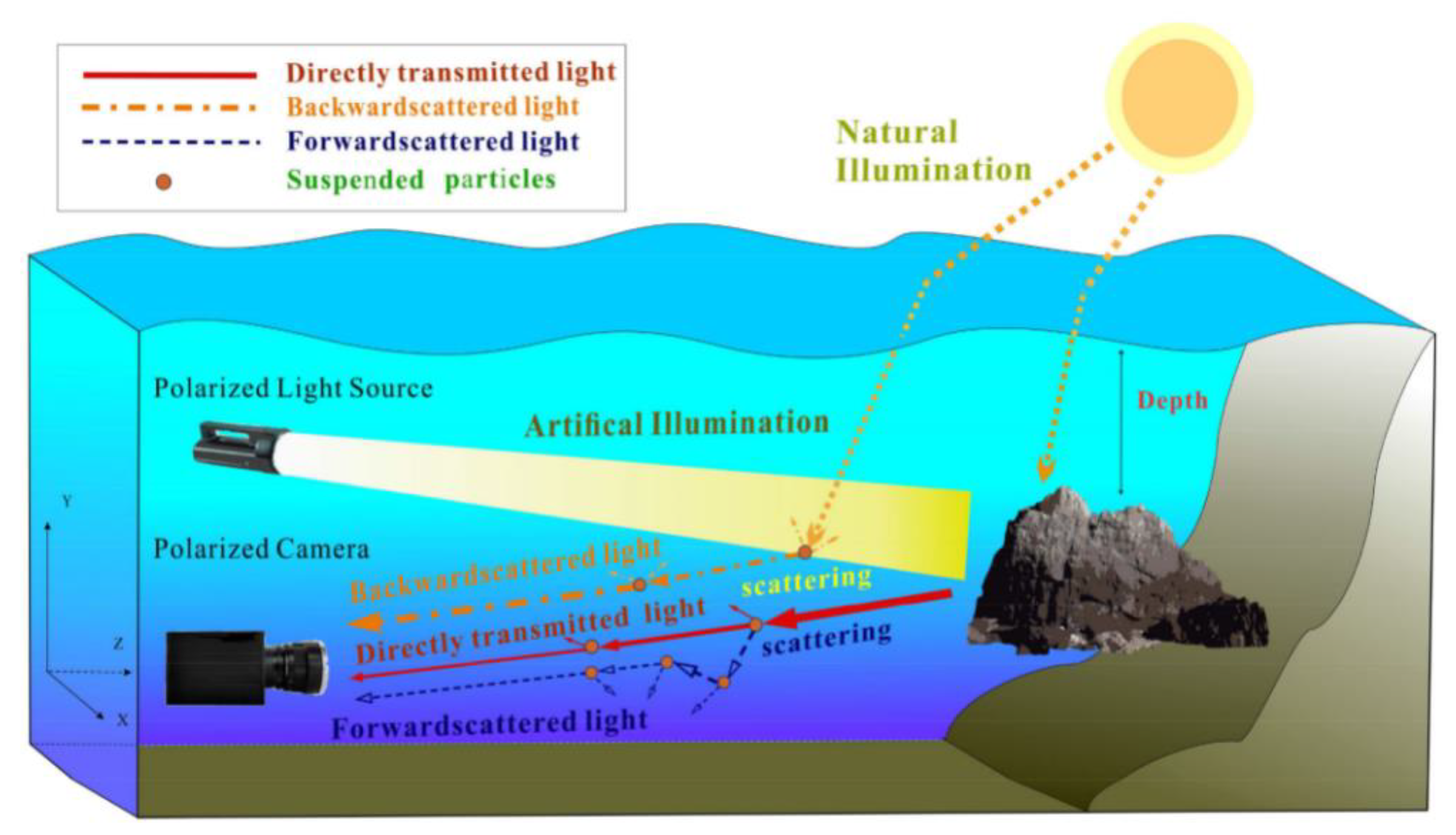 Principle and Implementation of Stokes Vector Polarization Imaging ...