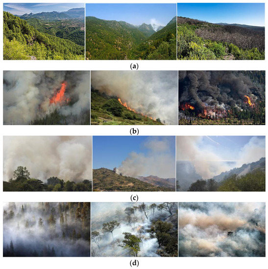 A Highly Accurate Forest Fire Prediction Model Based on an Improved ...
