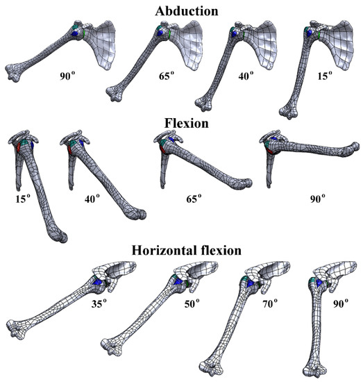 Numerical and Experimental Investigations of Humeral Greater Tuberosity ...