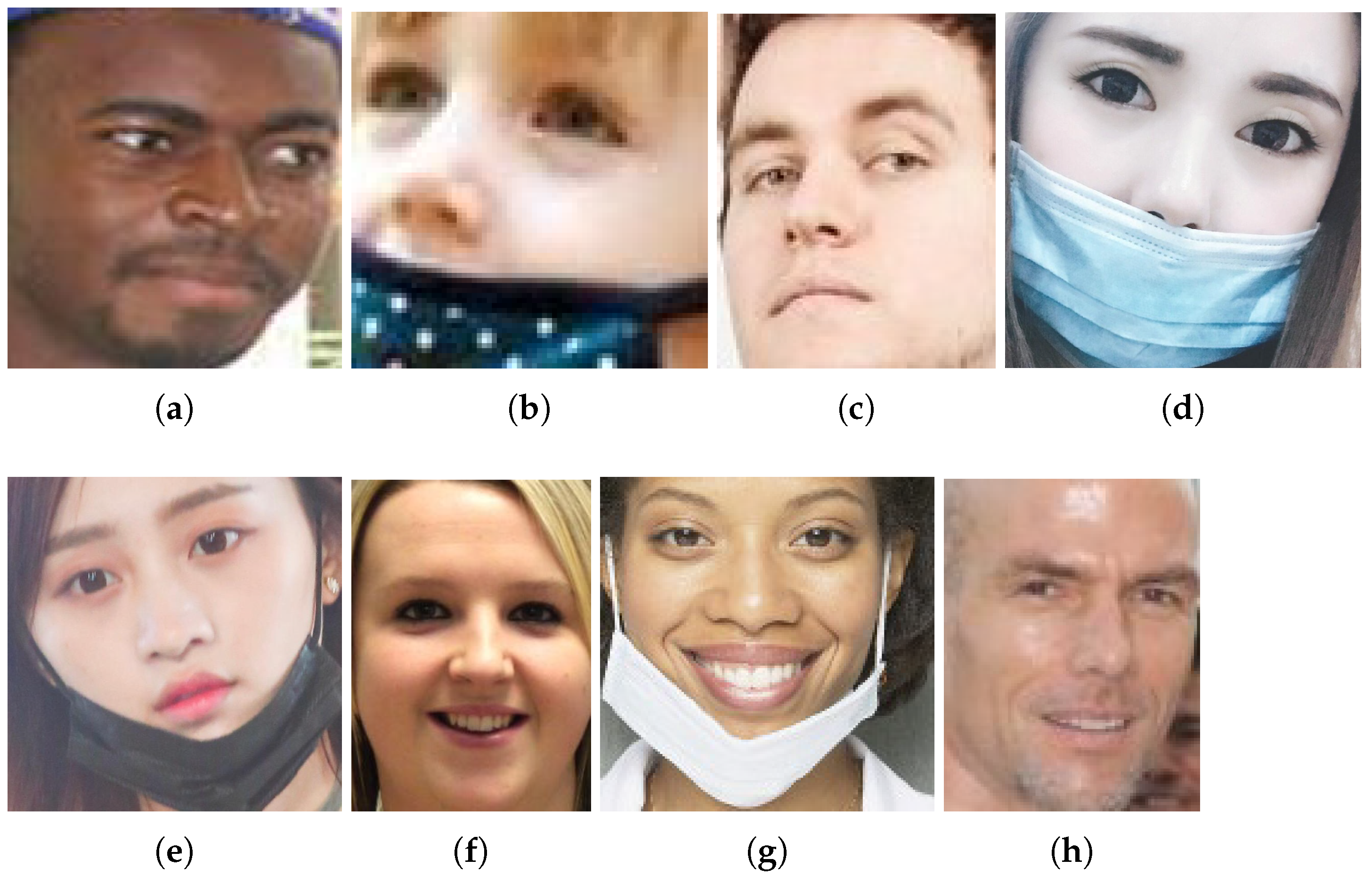 Applied Sciences | Free Full-Text | A Computer Vision Model to Identify ...