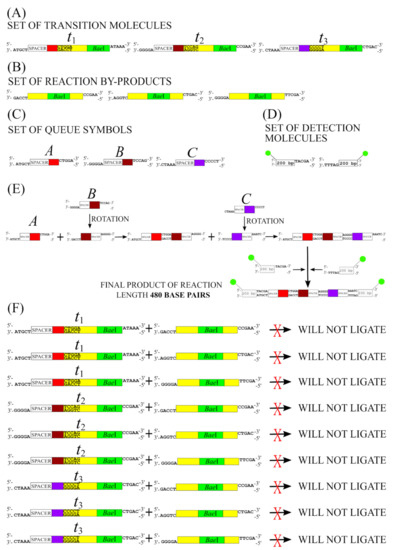 Applied Sciences | Free Full-Text | DNA Computing: Concepts for Medical ...