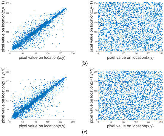 An Image-Encryption Algorithm Based on Stage-Merging Bit Scrambling