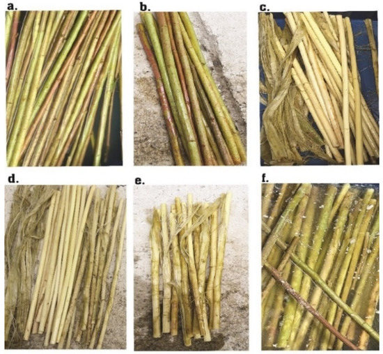 Applied Sciences | Free Full-Text | Augmented Retting Effect on Kenaf ...