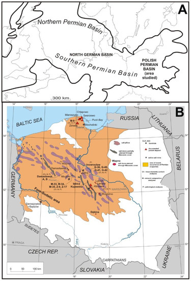 Trace Elements and Mineralogy of Upper Permian (Zechstein) Potash ...