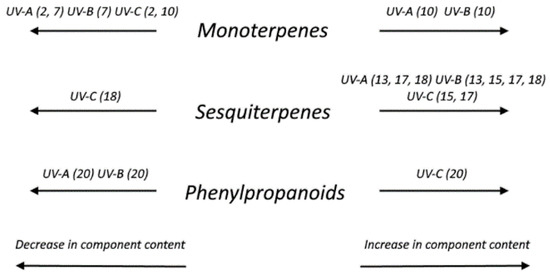 Impact of Ultraviolet Radiation on the Pigment Content and Essential ...