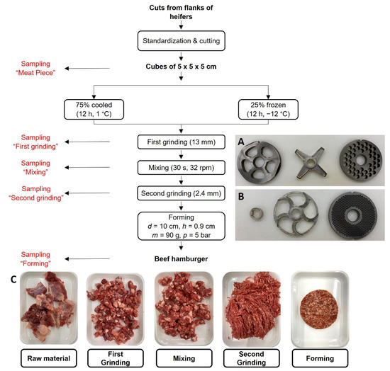 Influence of Processing Steps on Structural, Functional, and Quality ...