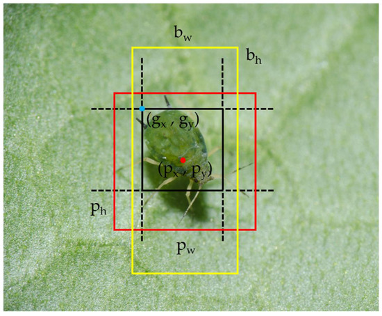 A Lightweight Crop Pest Detection Method Based on Convolutional Neural ...