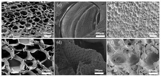 Ultraviolet-Assisted Modified Delignified Wood with High Transparency