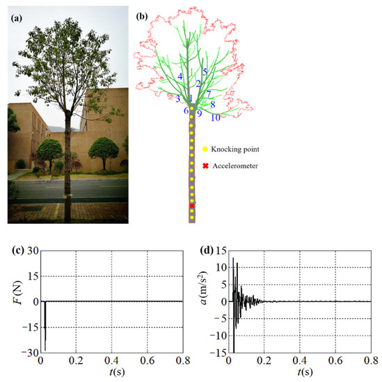 Identification of Multimodal Dynamic Characteristics of a Decurrent ...